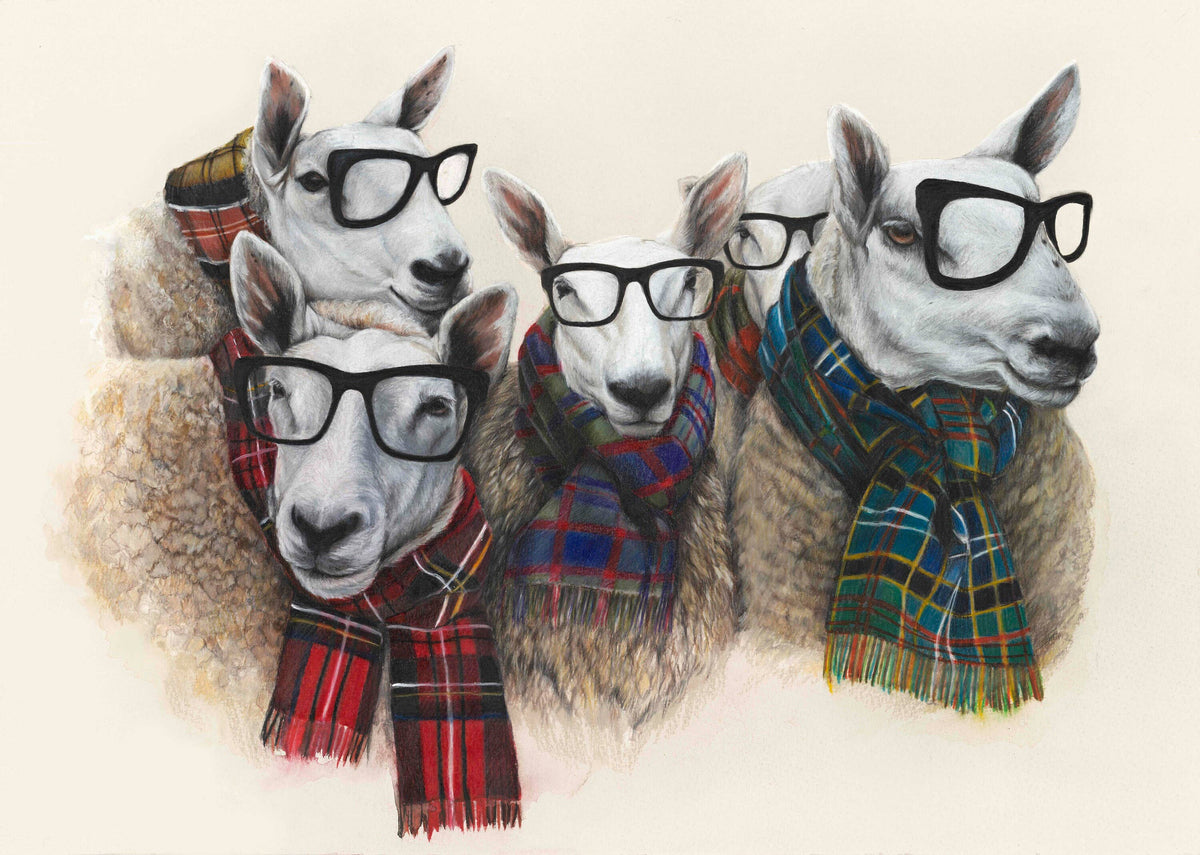 The Cheviot Posse (Greeting Card) | Cheviot Sheep Card – The Tack House