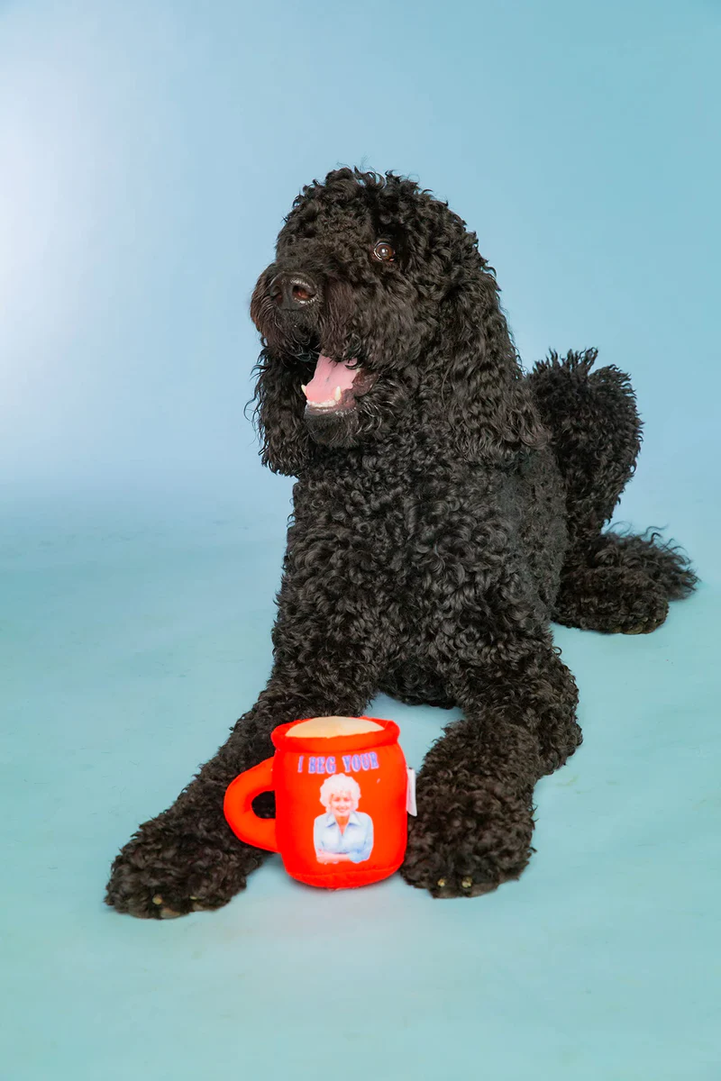 Dolly Doggy Parton - I Beg Your Pardon Dog Toy – The Tack House